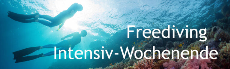 Freediving - Apnoetauchen - Freitauchen | Premium Ausbildung, Kurse ...